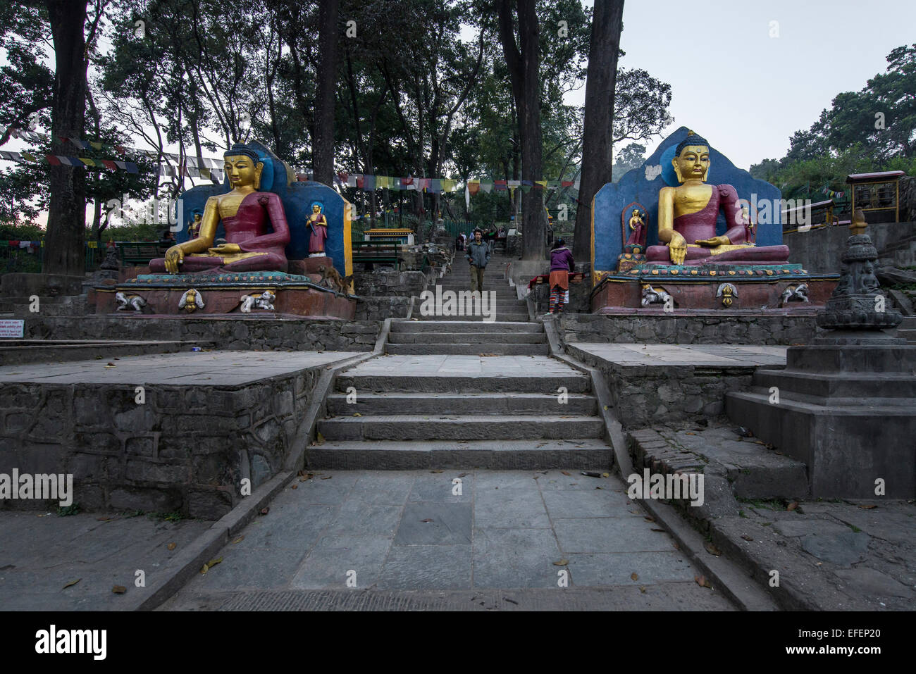 Monkey temple in Nepal, Kathmandu, Nepal Stock Photo - Alamy