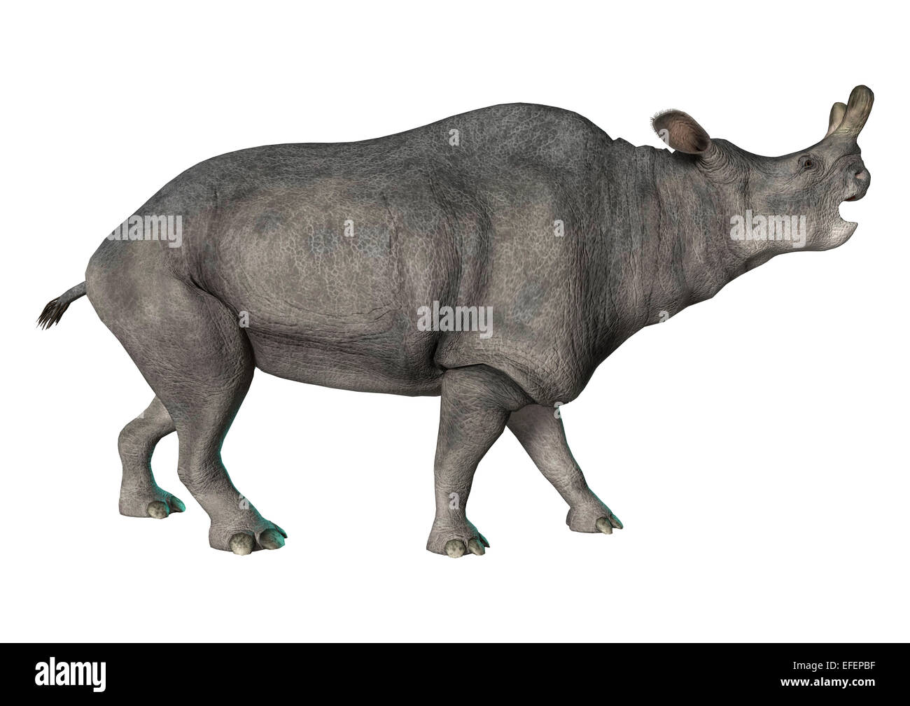 3D digital render of a Brontotherium isolated on white background Stock ...