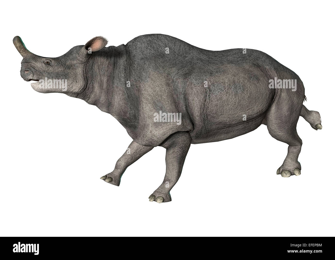 3D digital render of a running Brontotherium isolated on white ...