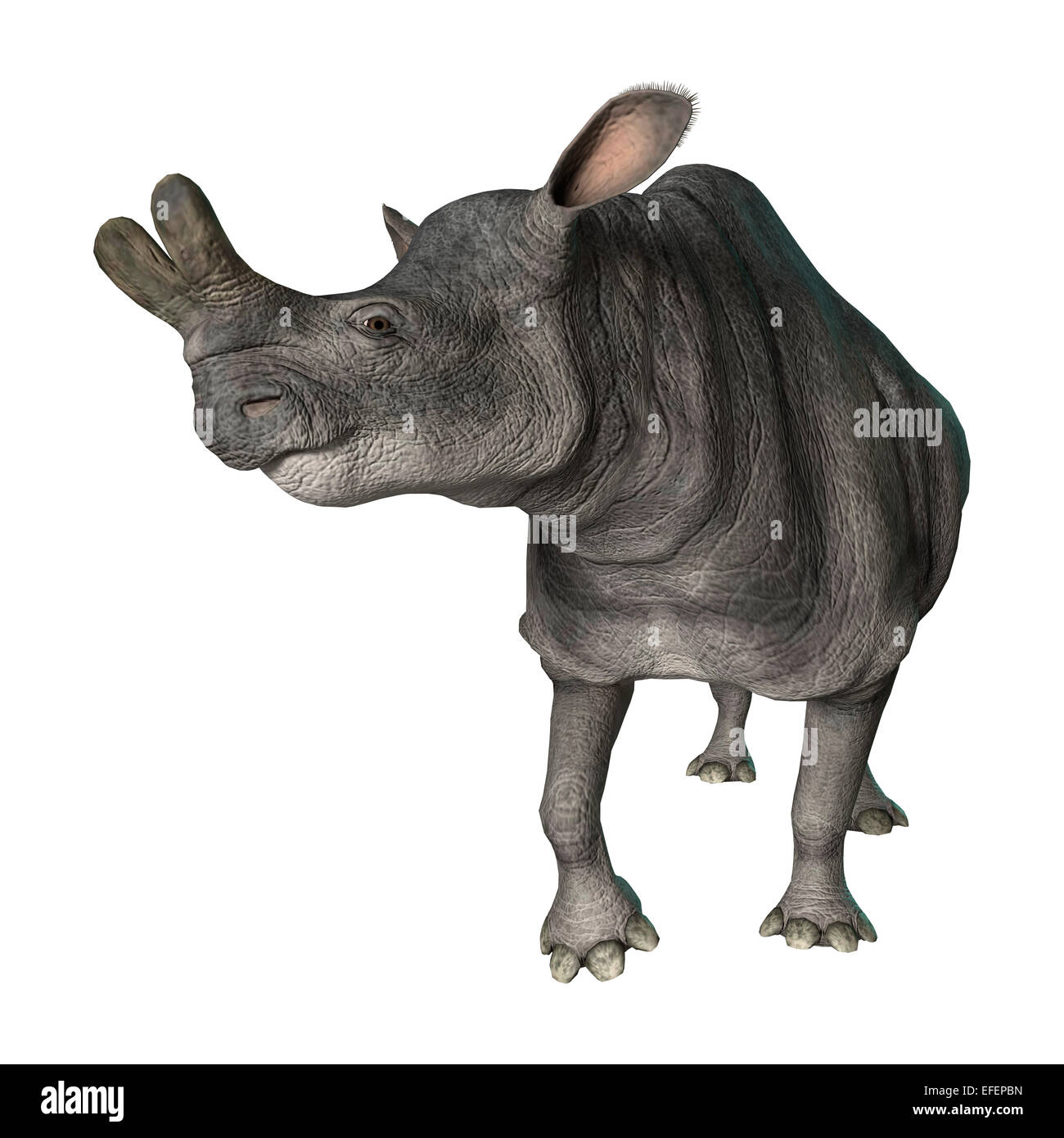 3D digital render of a curious Brontotherium isolated on white ...