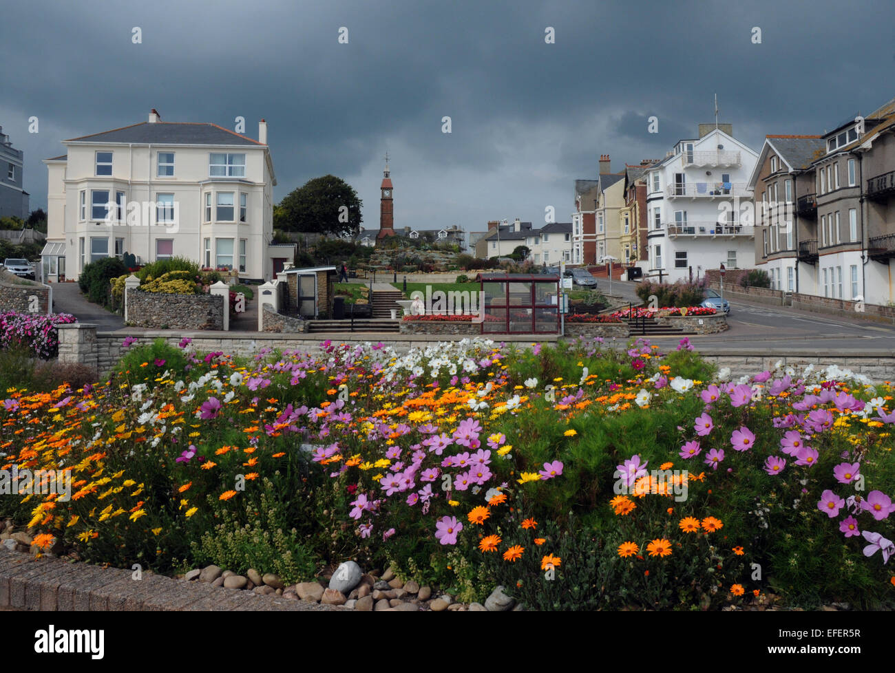 Devon flowers hi-res stock photography and images - Alamy