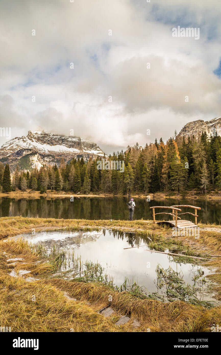 a girl walking in the forest in the italian alps Stock Photo - Alamy