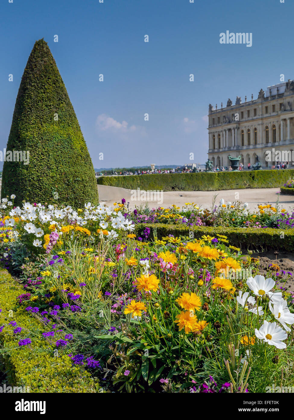 Versailles Flowers