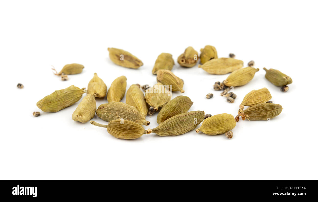 Cardamom plant india hi-res stock photography and images - Alamy