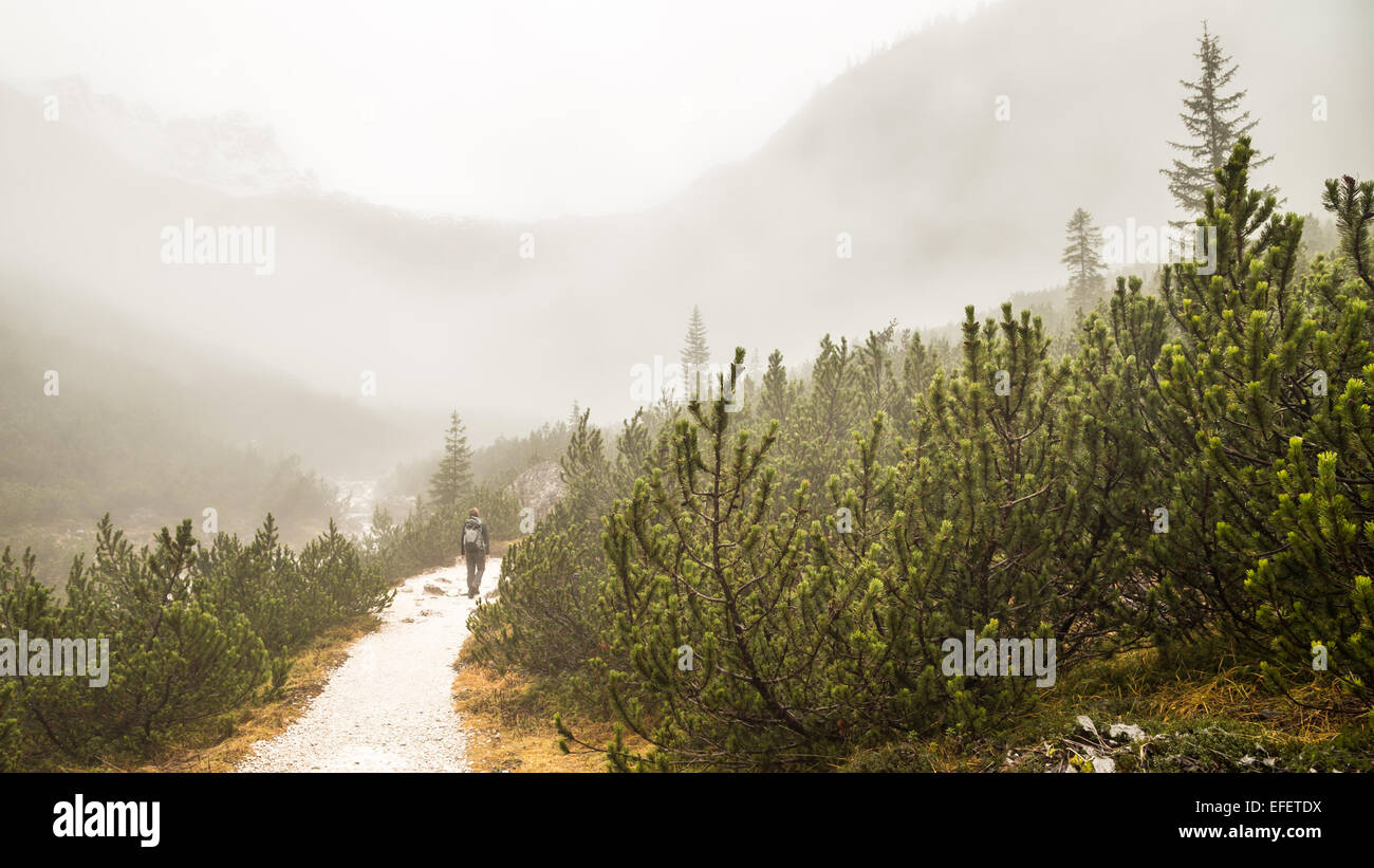 a girl walking in the forest in the italian alps Stock Photo - Alamy