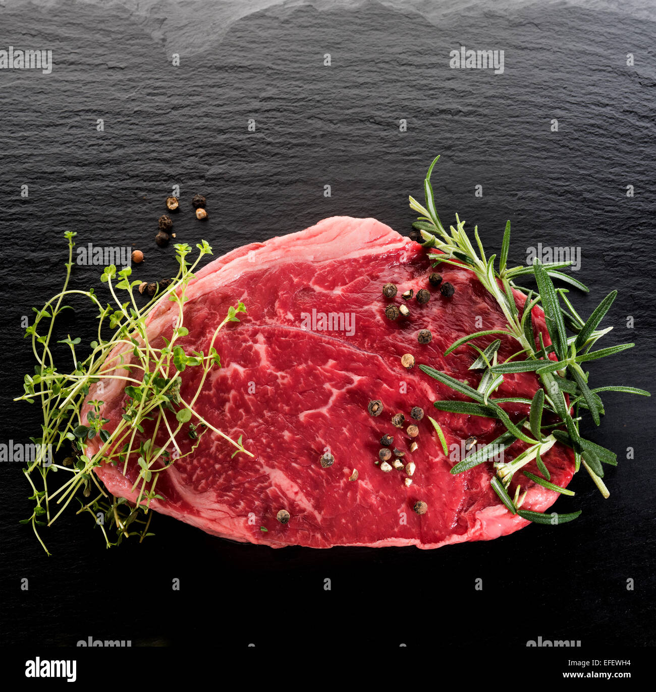 Flesh eating animals hi-res stock photography and images - Alamy