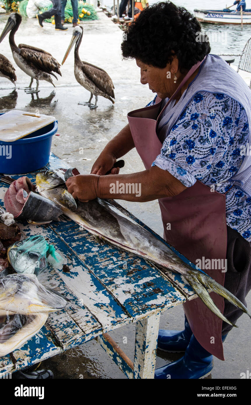 Fish and Fishermen in the Ancón port. Lima department. Peru Stock Photo ...