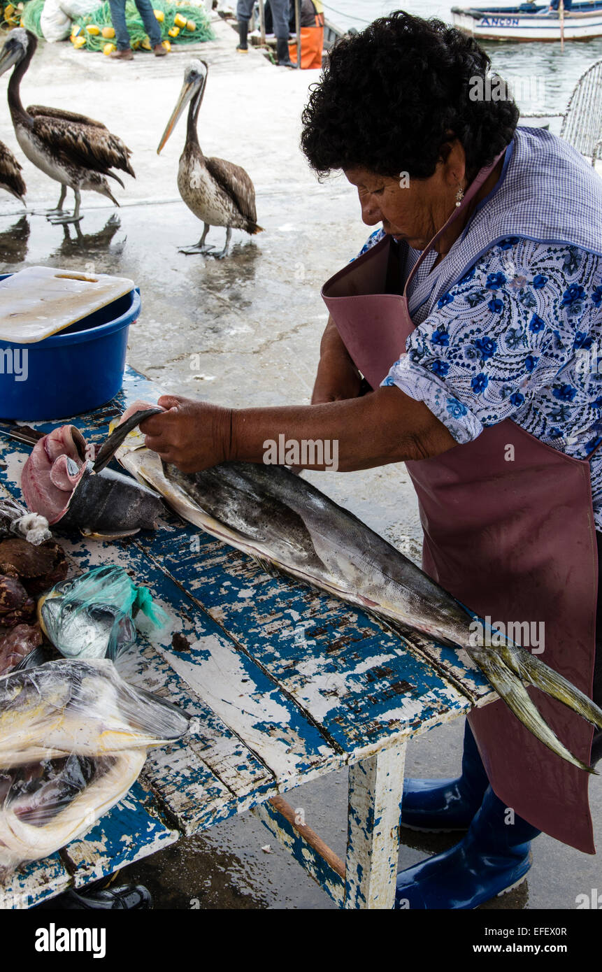 The fish market in ancón, peru hi-res stock photography and images - Alamy