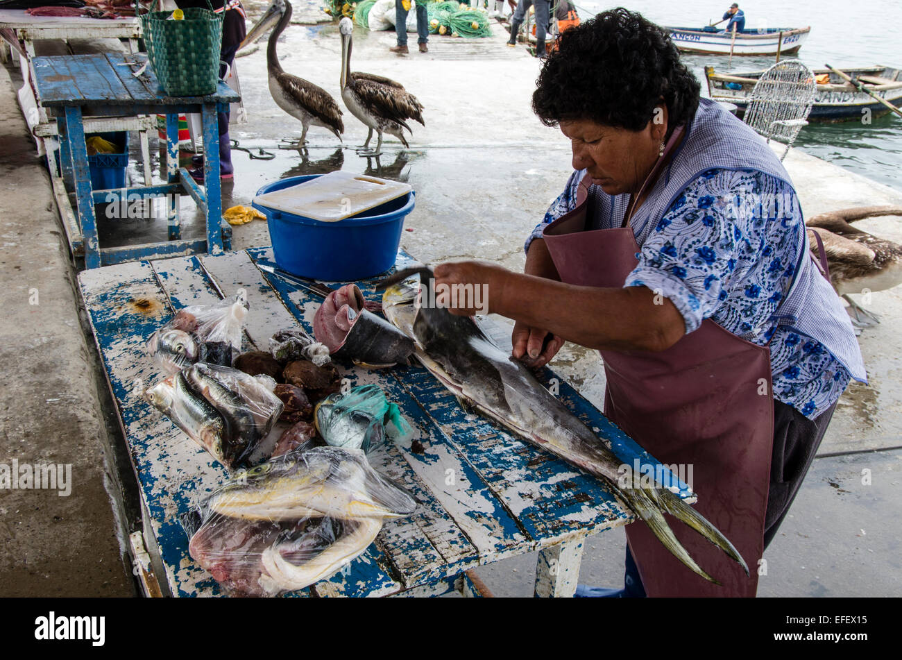 Fish and Fishermen in the Ancón port. Lima department. Peru Stock Photo ...