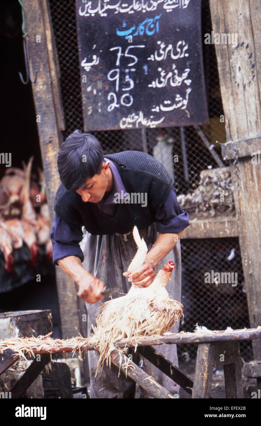 chicken slaughtered and prepared freshly on streets of Gilgit Pakistan ...