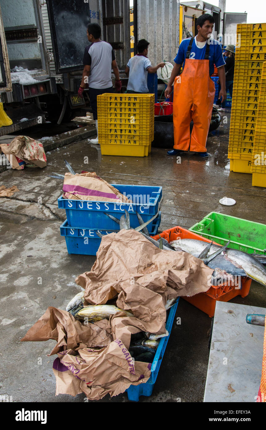 Unloading fish at port hi-res stock photography and images - Alamy