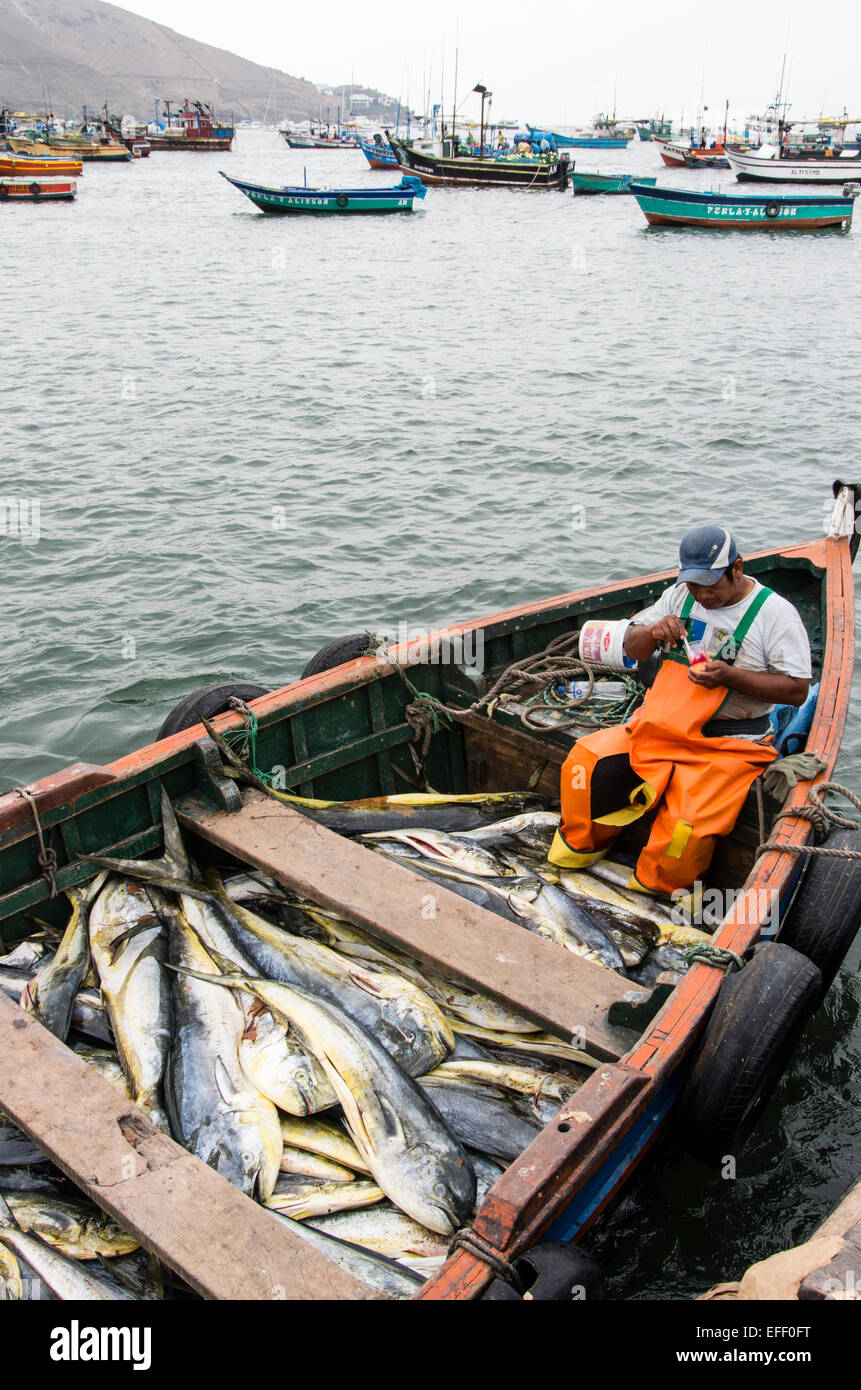 Lima fishing dock hi-res stock photography and images - Alamy