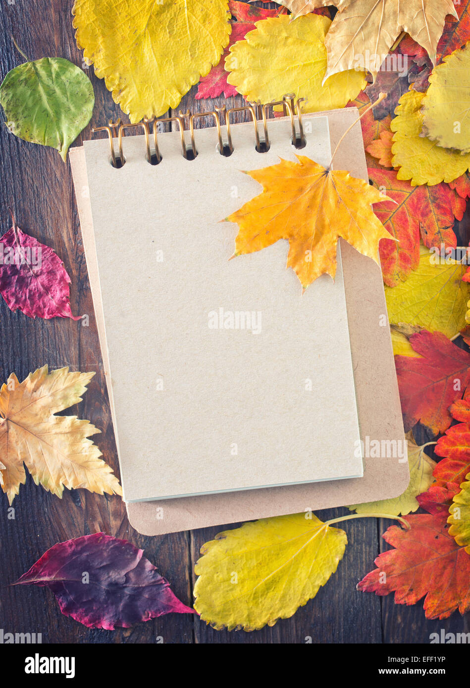 autumn leaves and notepad on wooden background Stock Photo - Alamy