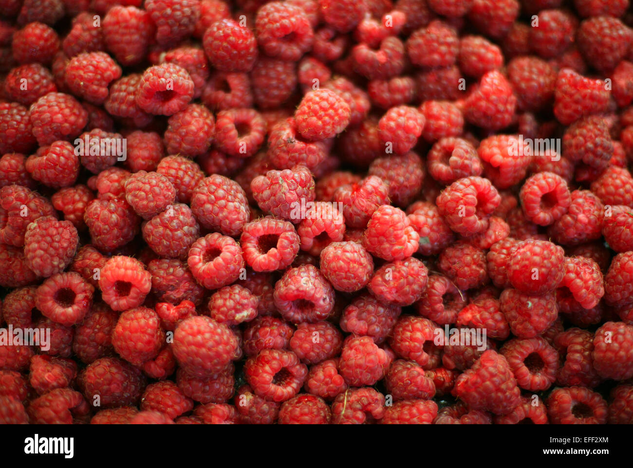 Raspberry fruit background. Group of sweet red rasberries close up ...