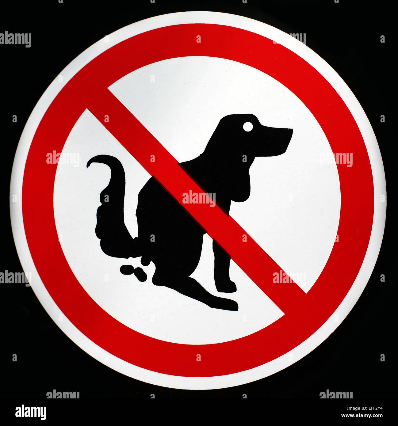No pooping by dogs sign. Pooping dog sign. Stoop & scoop sign Stock ...