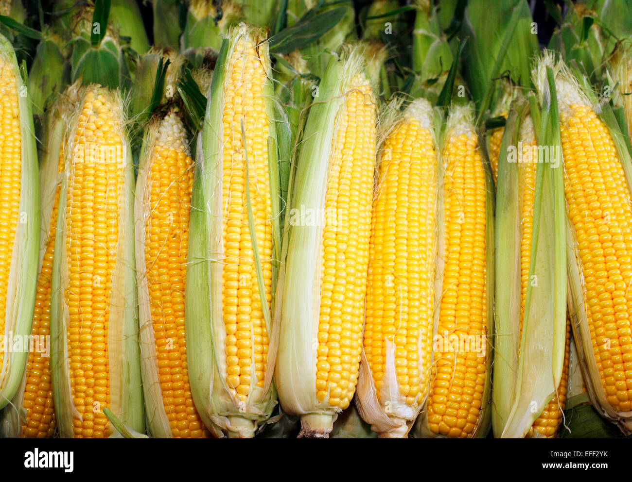Wallpaper sweetcorn hi-res stock photography and images - Alamy