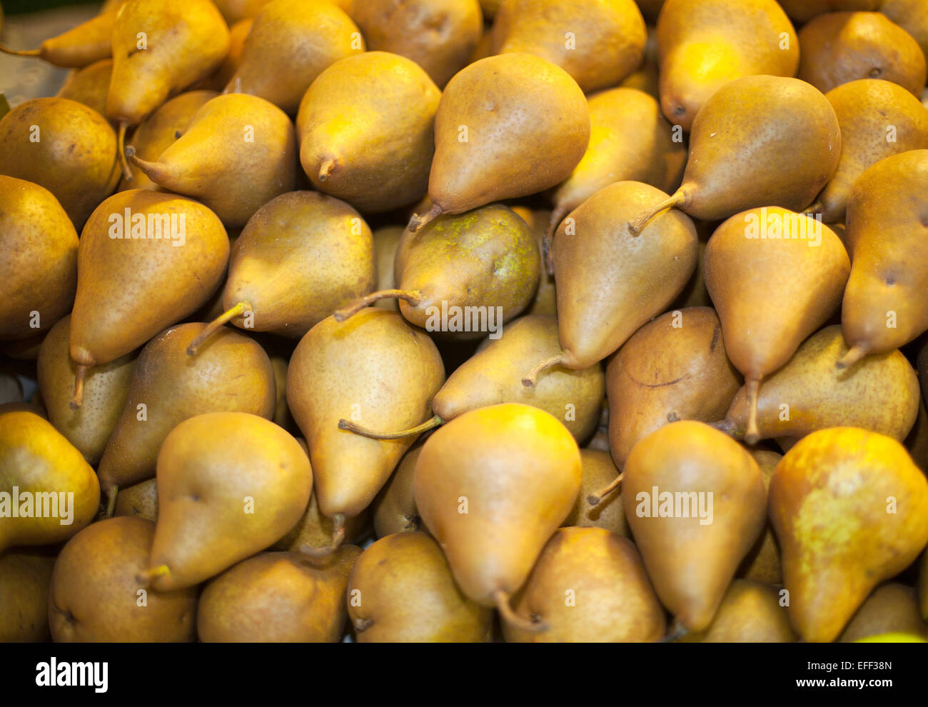 Freshly picked pears in row on farmers market. A pile of golden brown ...