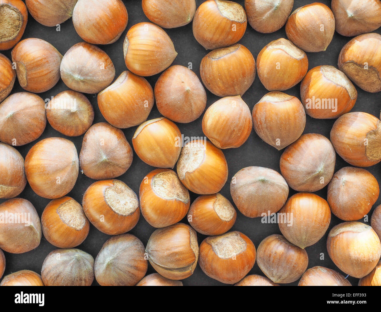 Hazelnut dried fruits aka cobnut or filbert nut useful as background ...