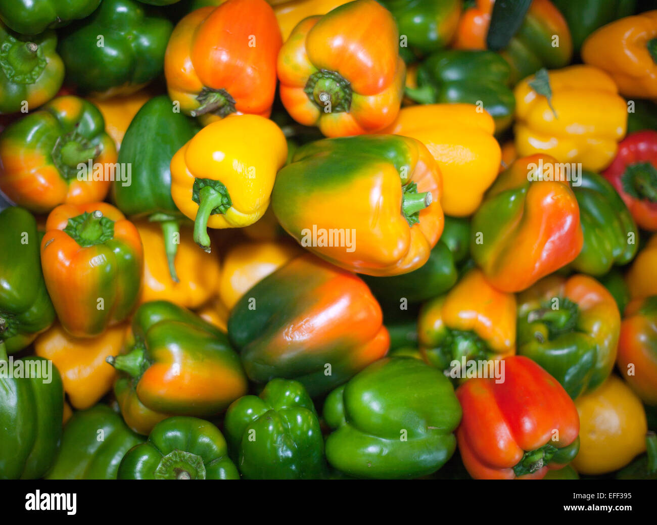 Many colored peppers on farmers market. Colorful sweet pepper display ...