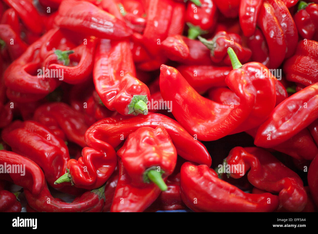 Organic red paprika. Kapia red peppers on farmers market as background ...
