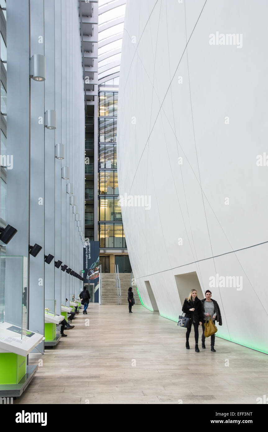 Cocoon building in the Darwin Centre at the Natural History Museum in ...