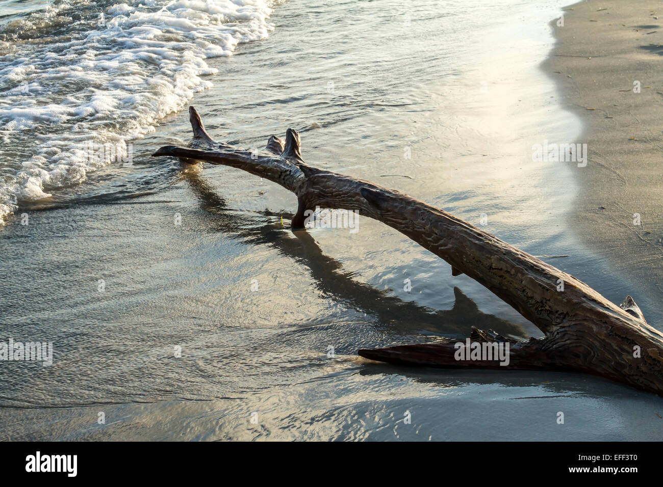 Log by sunset hi-res stock photography and images - Alamy