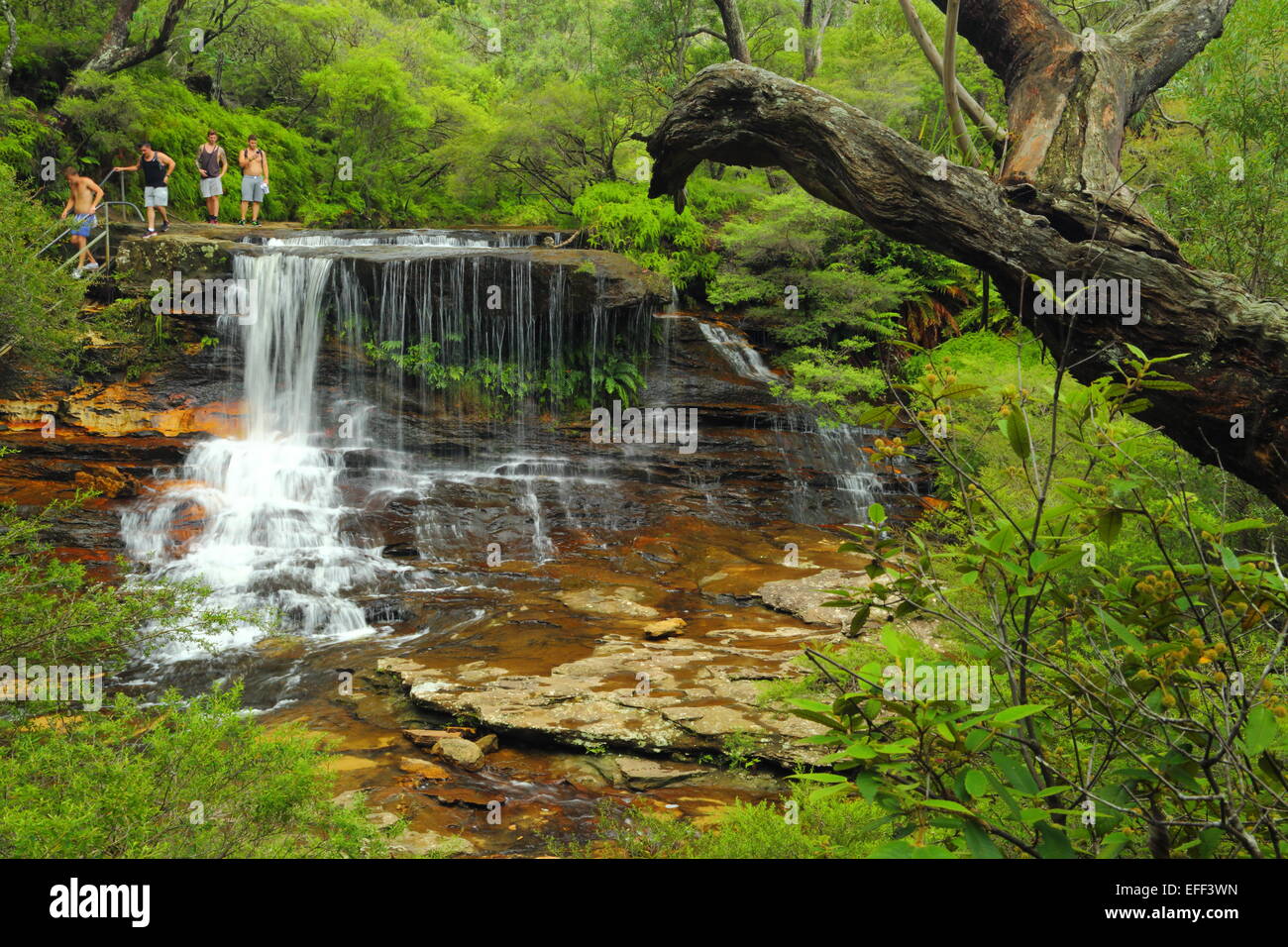 The four falls walk wales hi-res stock photography and images - Alamy