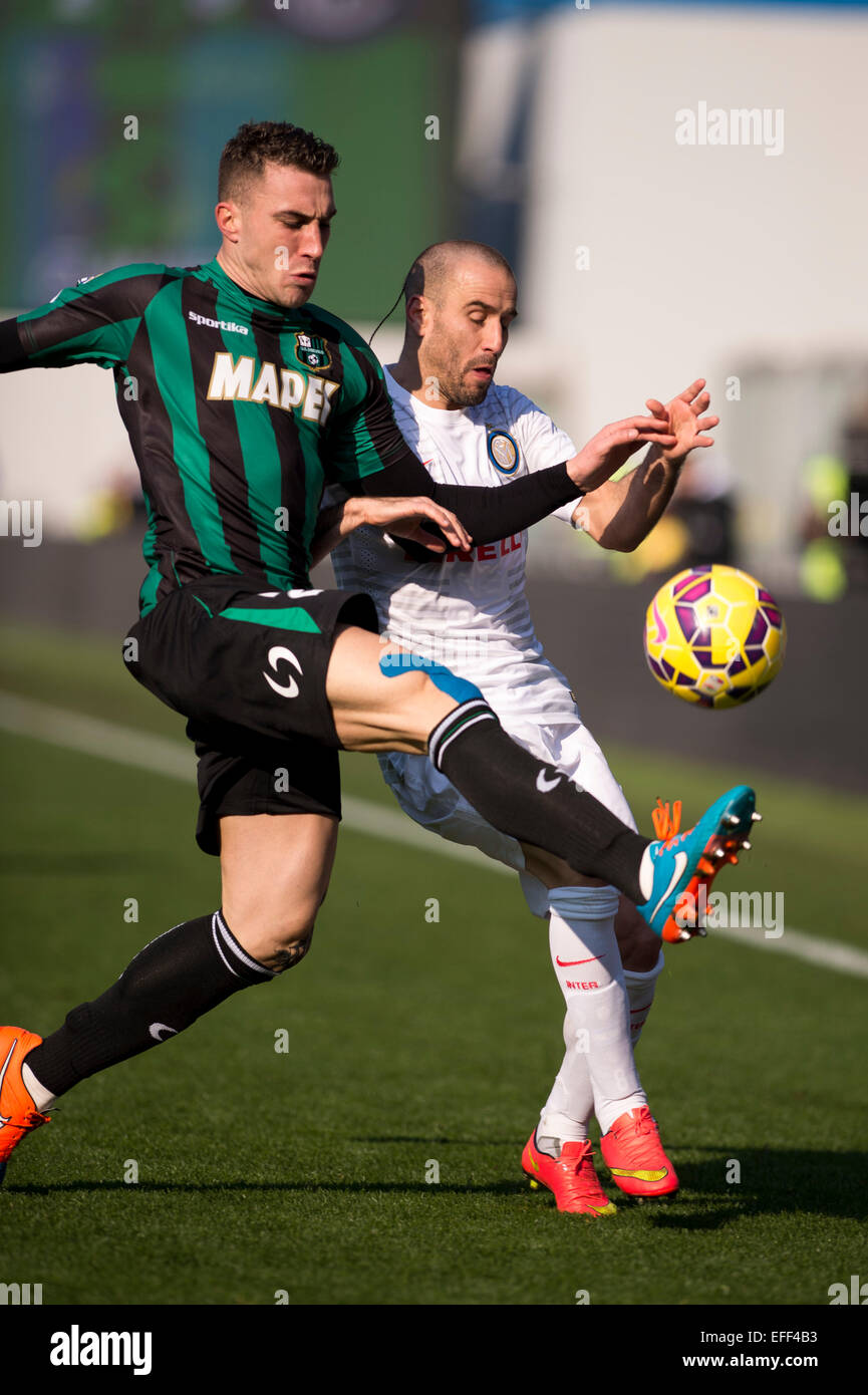 Terranova tricolore hi-res stock photography and images - Alamy