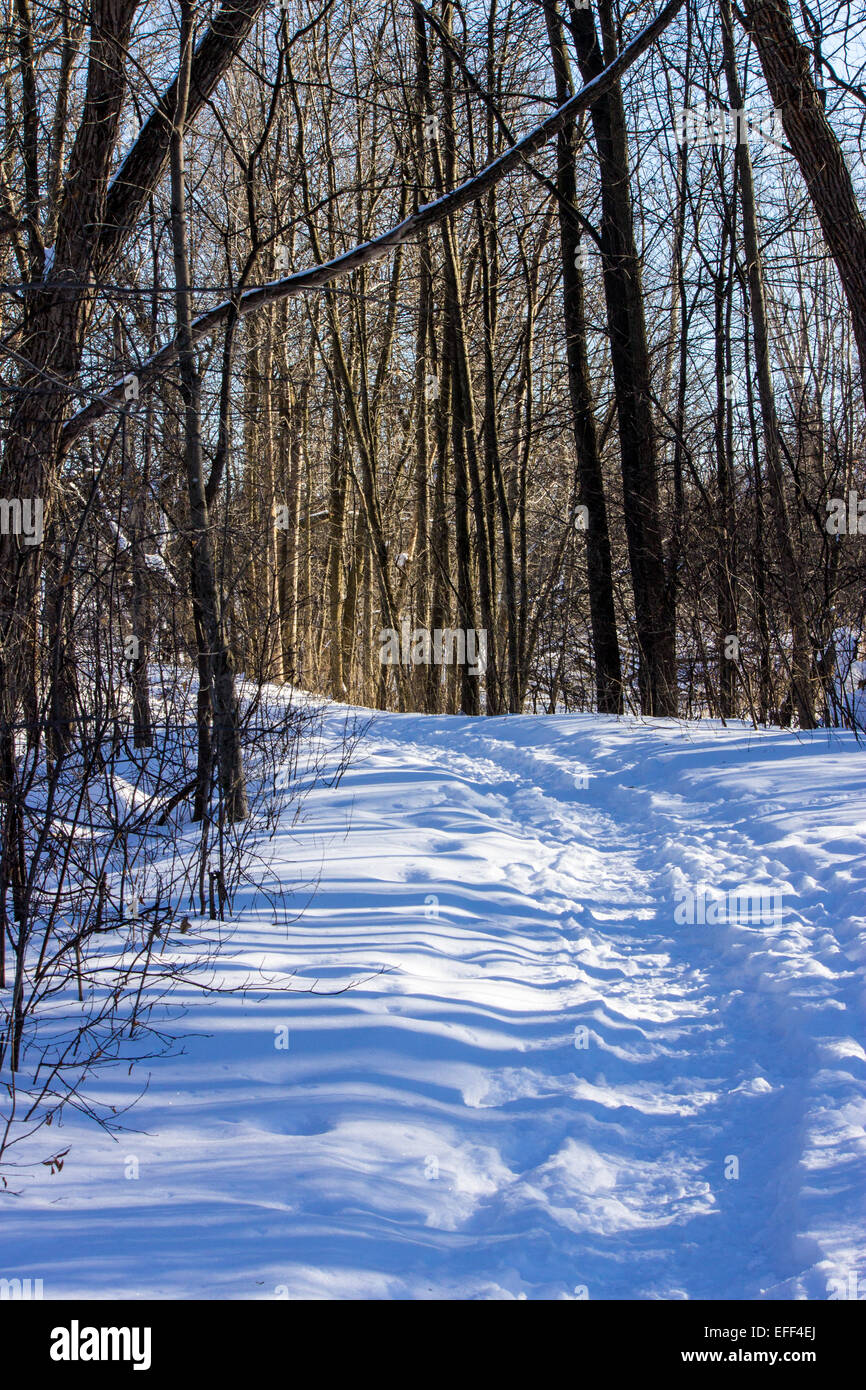 Cool winter weather hi-res stock photography and images - Alamy