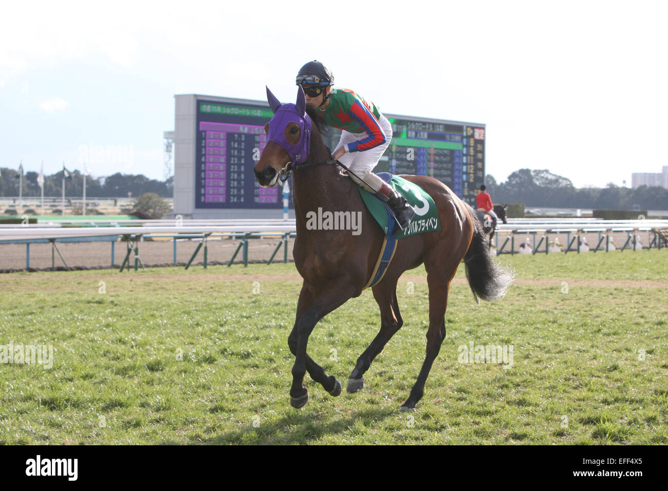 Kyoto, Japan. 1st Feb, 2015. Am Ball Bleiben (Ken Tanaka) Horse Racing ...