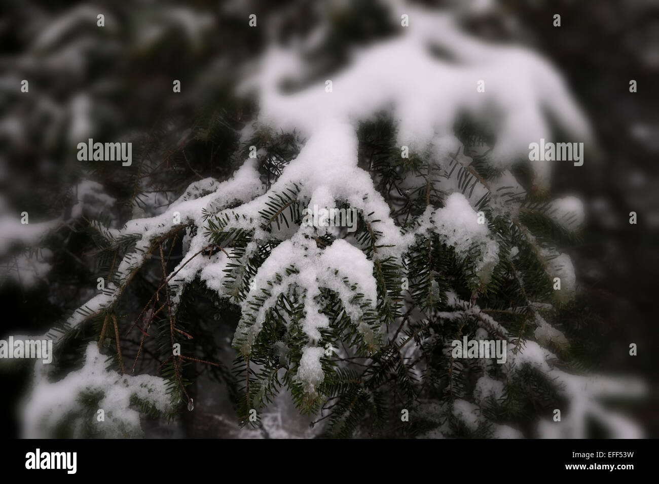 Phthiotis mountain greece hi-res stock photography and images - Alamy