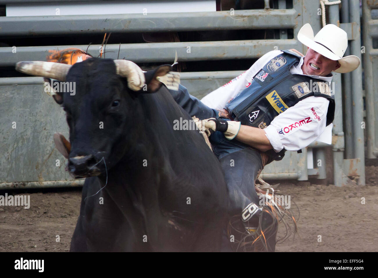 Professional bull rider pbr riding hi-res stock photography and images ...