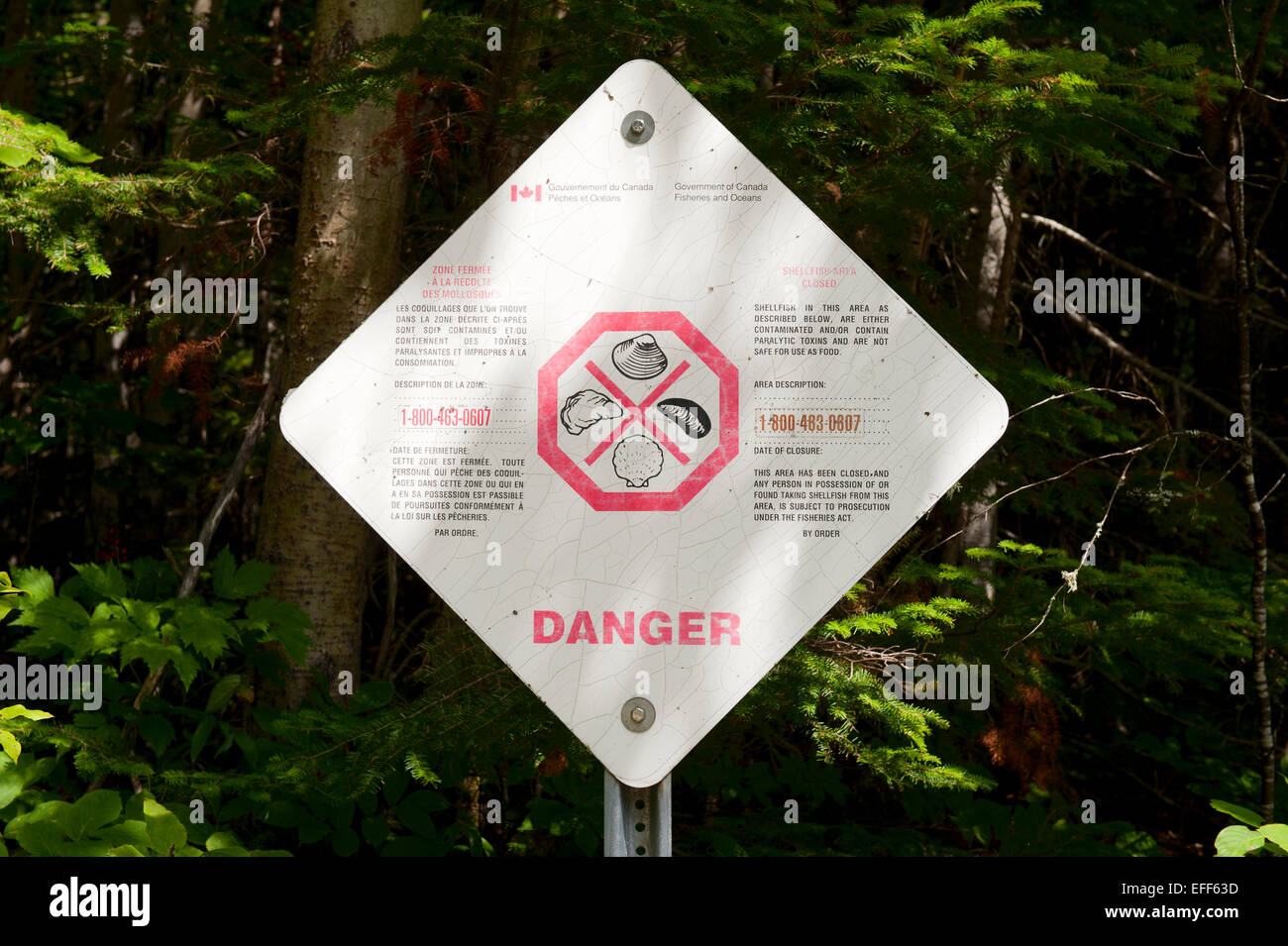 Unsafe shellfish hi-res stock photography and images - Alamy