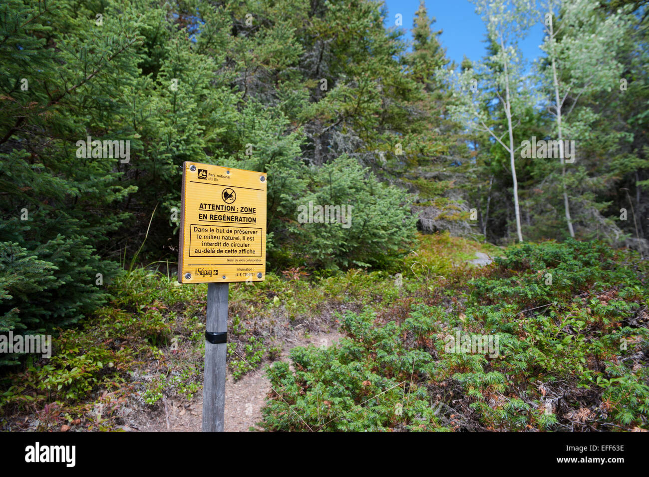 Revegetation area hi-res stock photography and images - Alamy