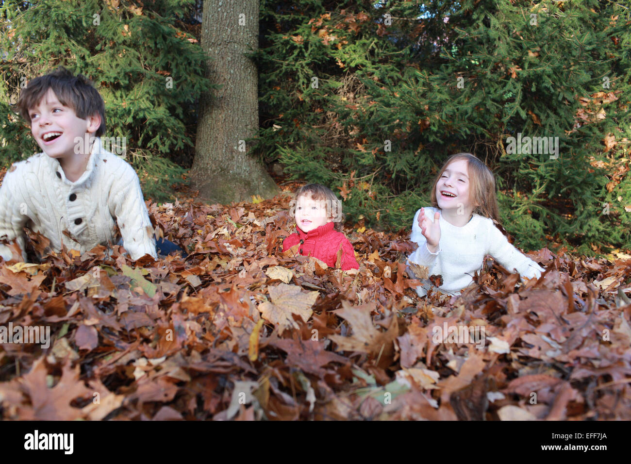 Kids having fun in leaves Stock Photo - Alamy