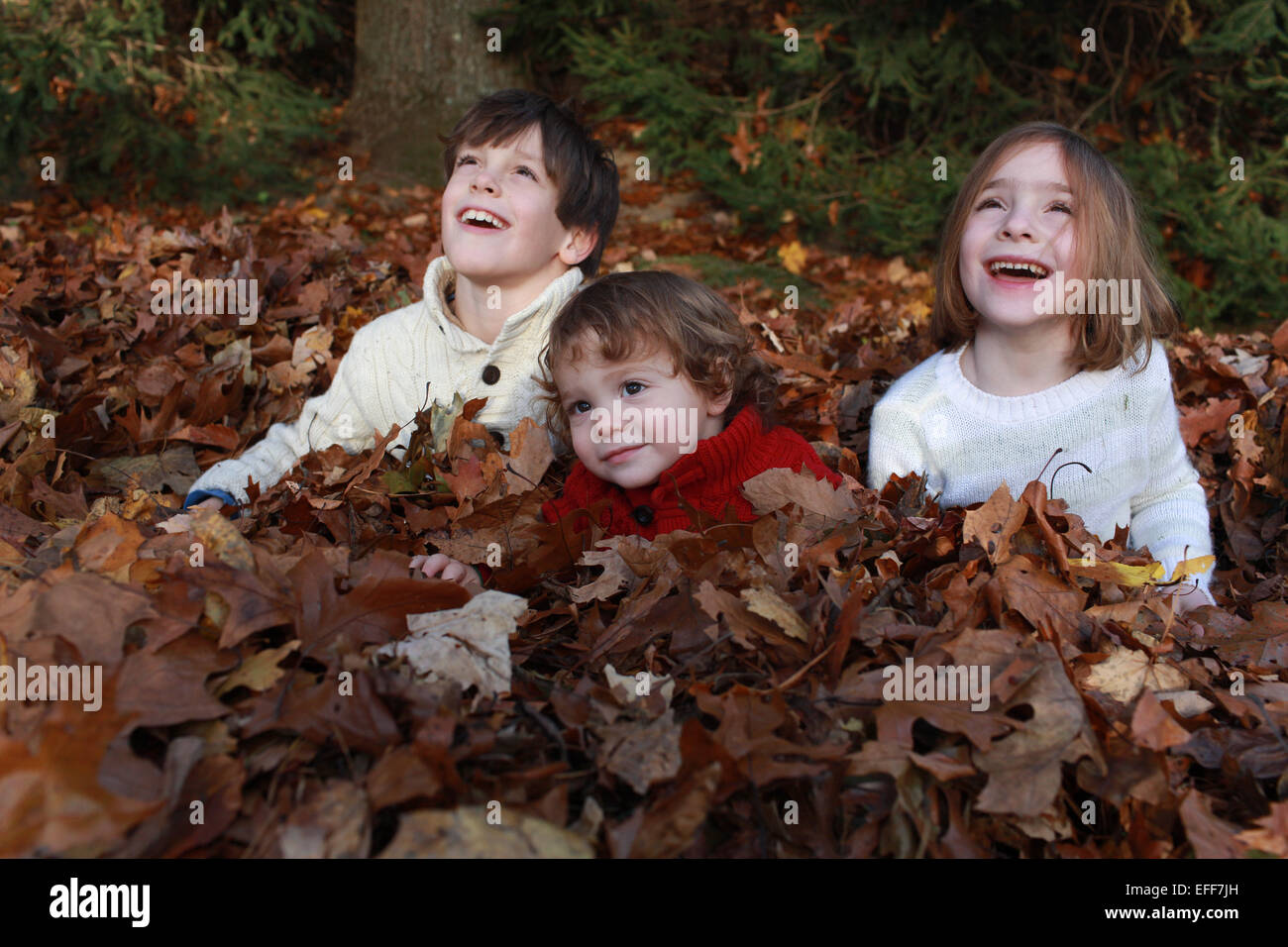 Kids leaves hi-res stock photography and images - Alamy