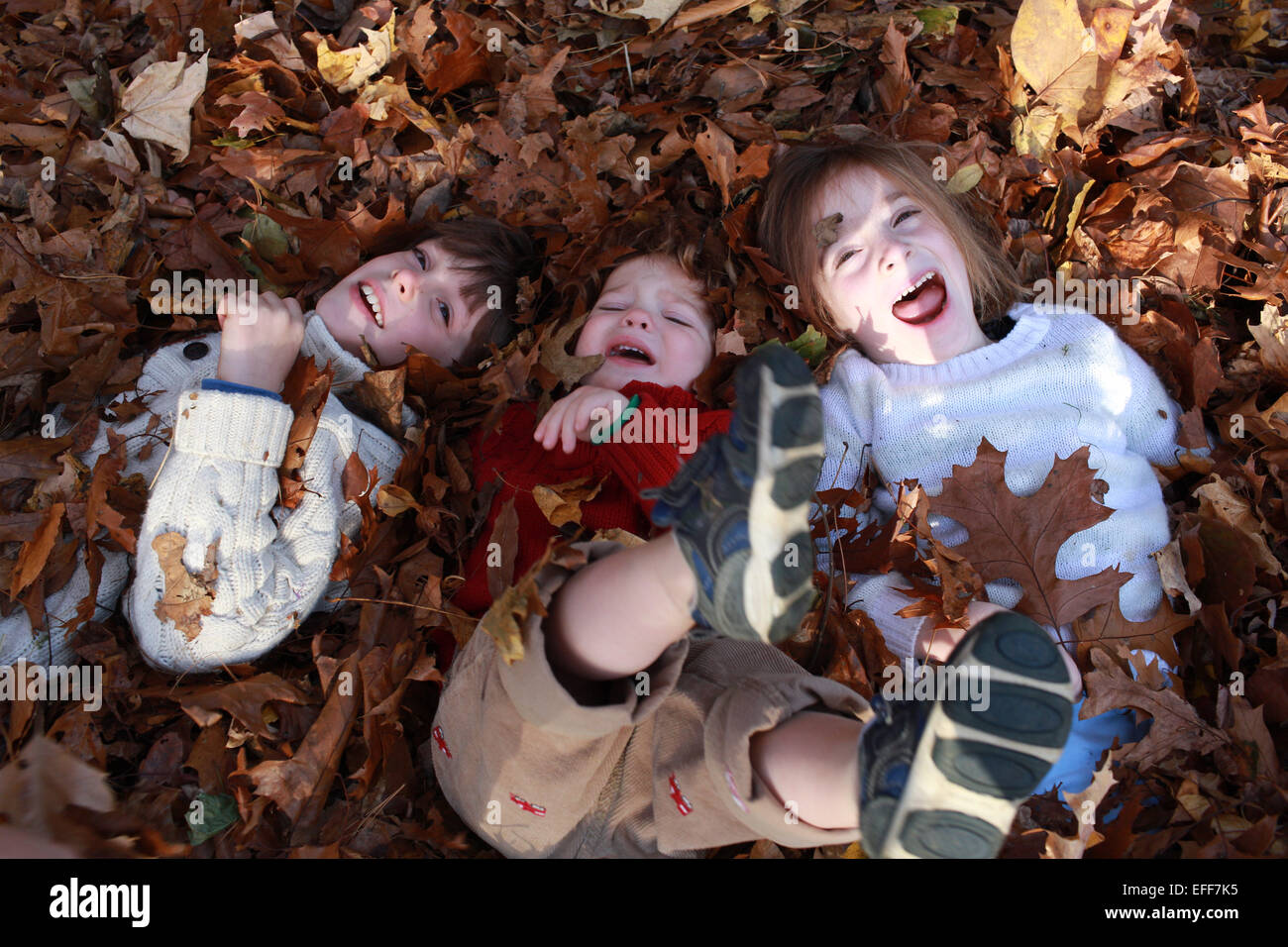 Kids having fun in leaves Stock Photo - Alamy