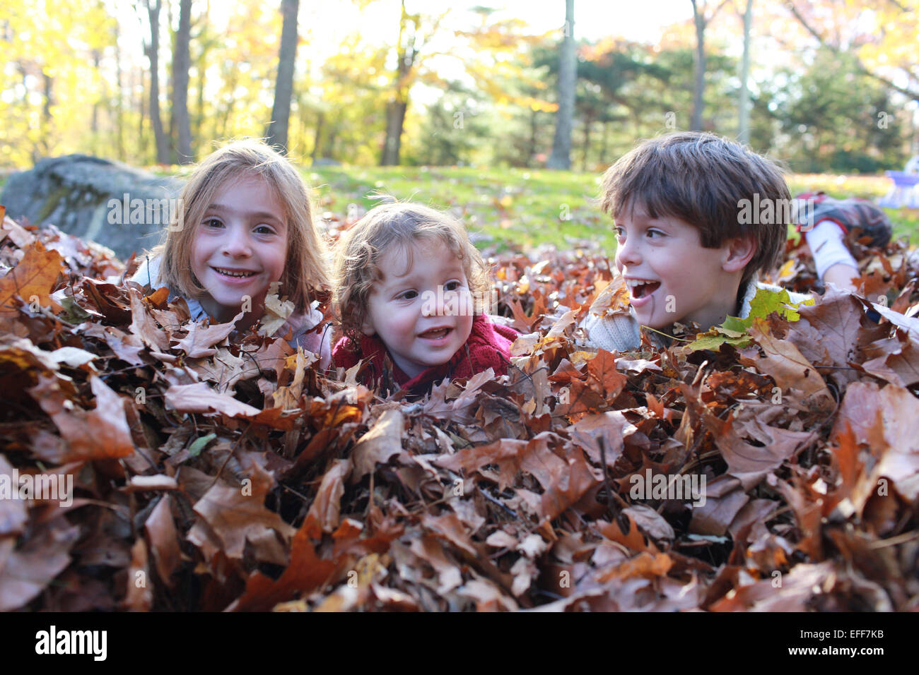 Kids in leaves hi-res stock photography and images - Alamy
