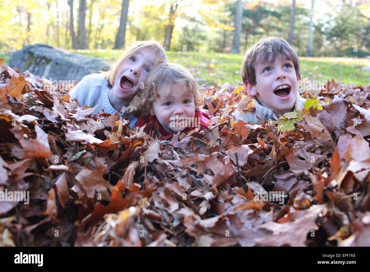 Kids having fun in leaves Stock Photo - Alamy