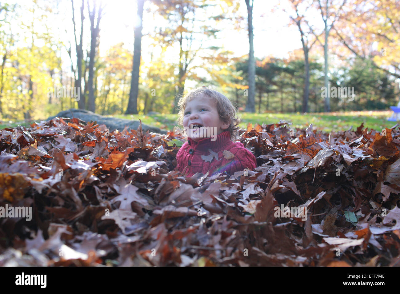 Kids having fun in leaves Stock Photo - Alamy