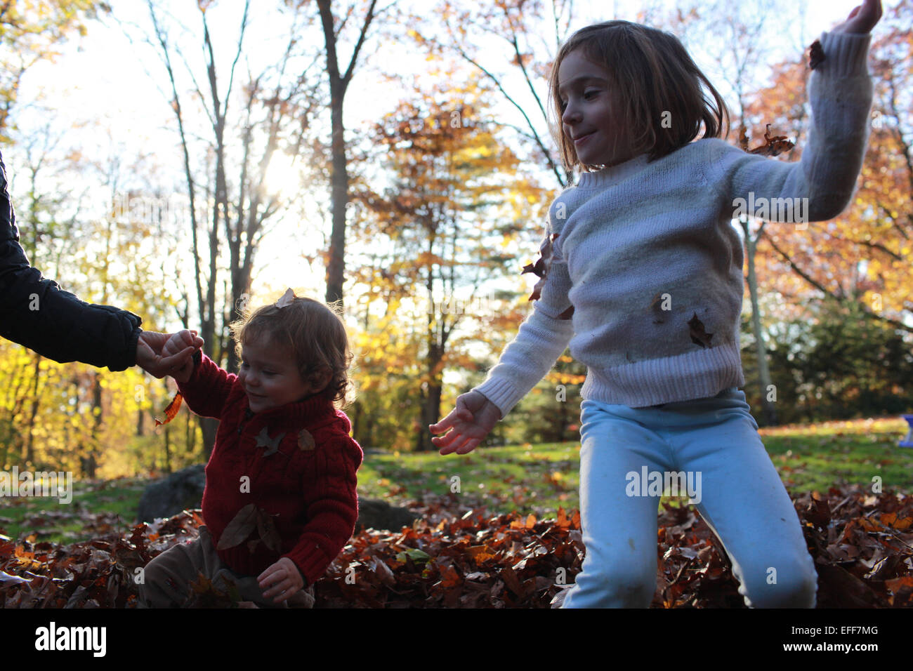 Kids having fun in leaves Stock Photo - Alamy