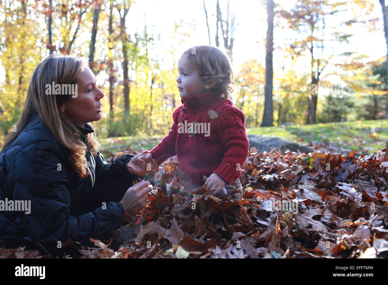 Kids playing in leaves hi-res stock photography and images - Alamy