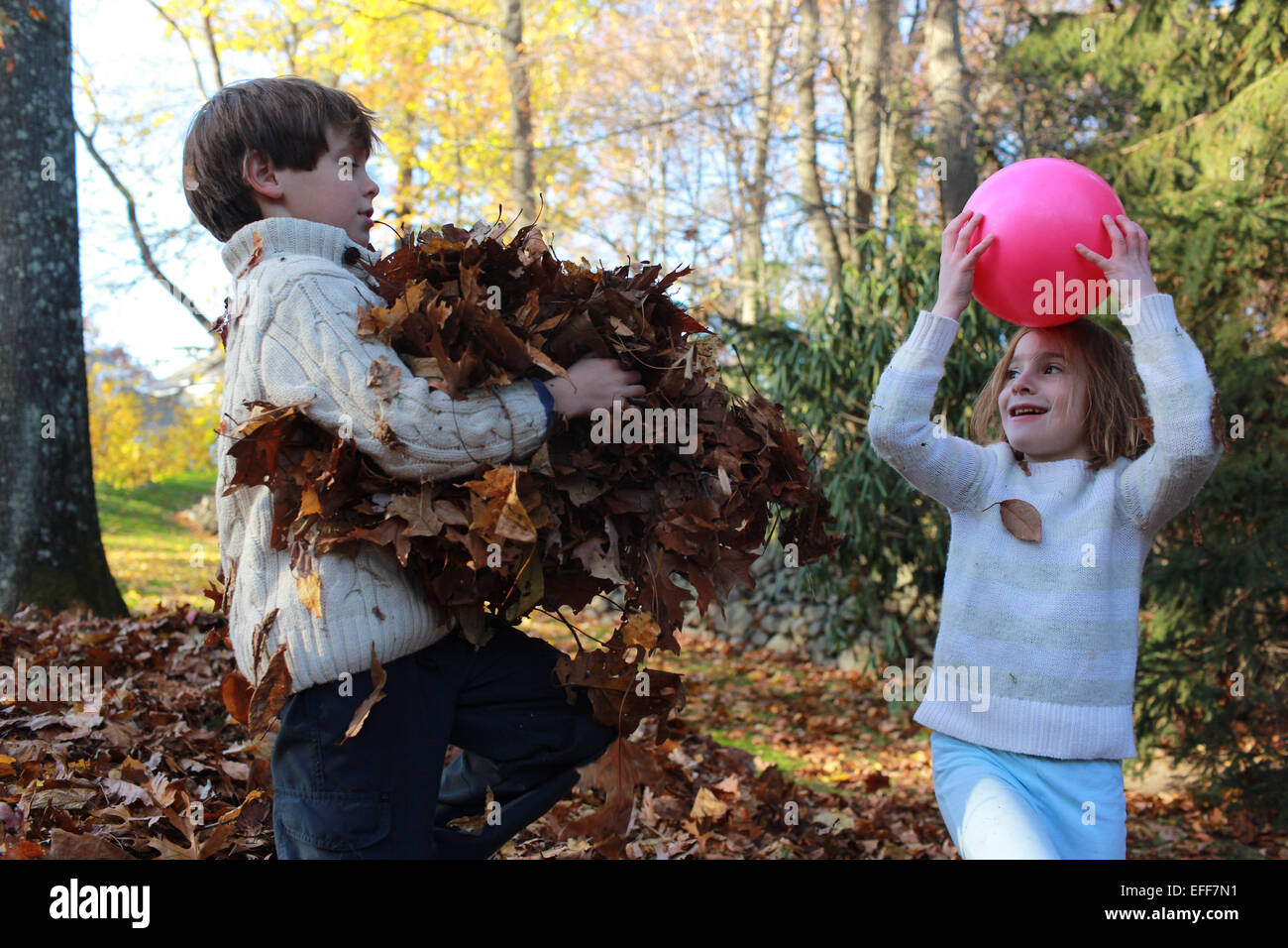Kids having fun in leaves Stock Photo - Alamy