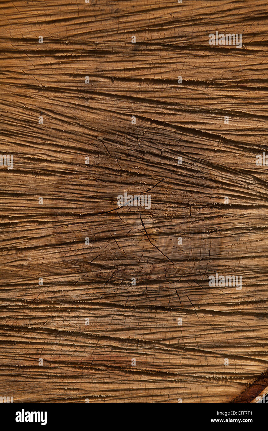 close-up wooden cut texture Stock Photo - Alamy