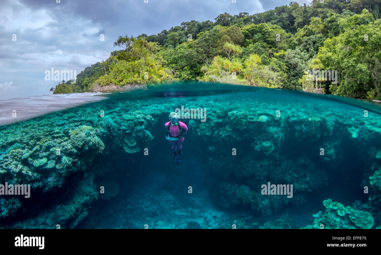 Female scuba diver exploring underwater caves Stock Photo - Alamy Female scuba diver exploring underwater caves Stock Photo - Alamy