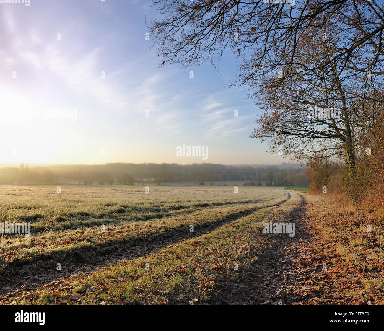 Fall landscape field trees hi-res stock photography and images - Alamy