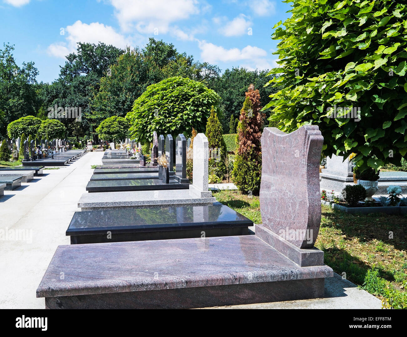 Tombstones in the public cemetery Stock Photo - Alamy
