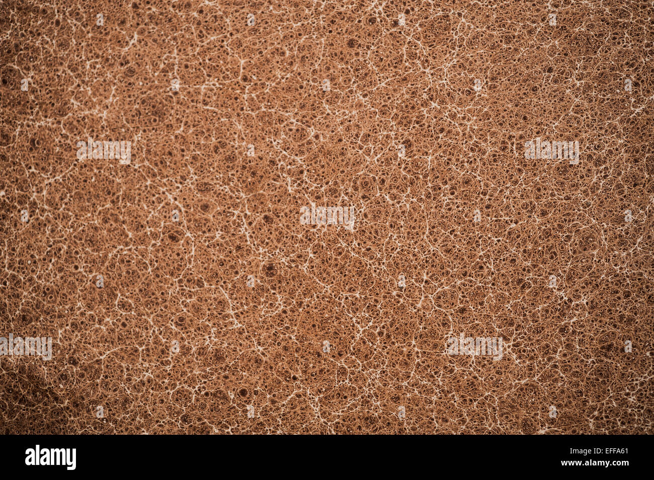 Inside background cover art of Atlas Classique published in 1869 Stock ...