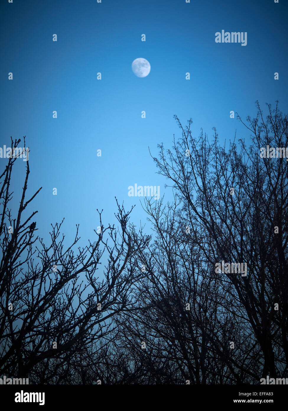 Simple moon hi-res stock photography and images - Alamy