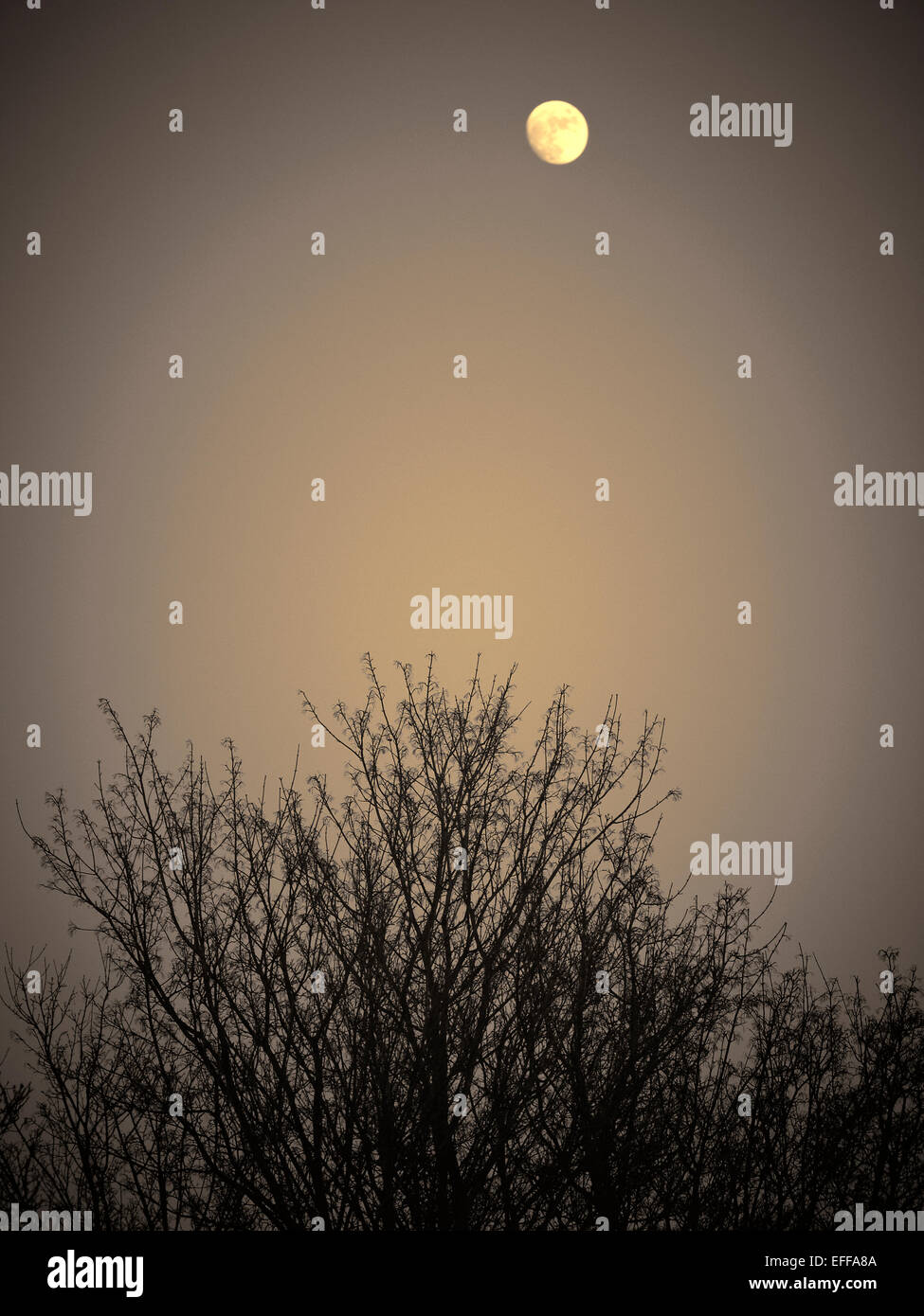 Full moon sepia hi-res stock photography and images - Alamy